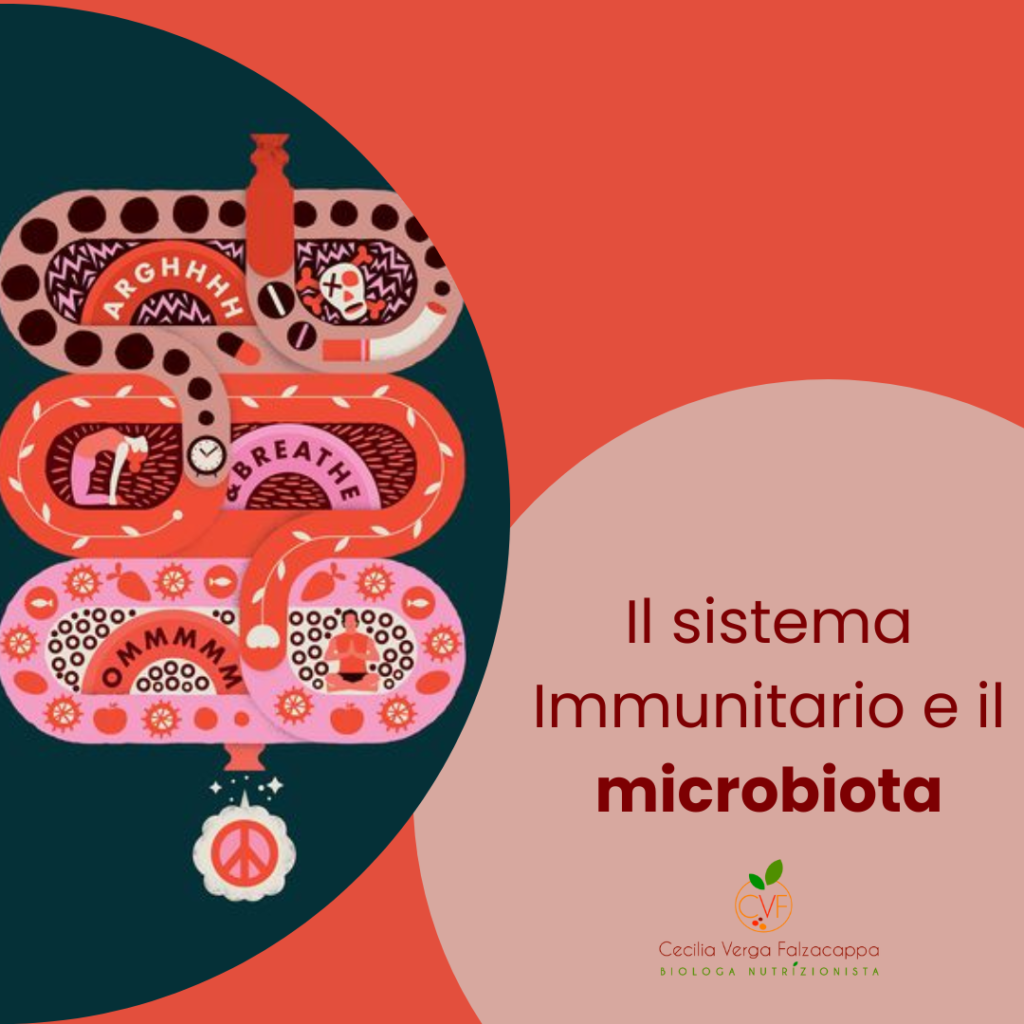 Il sistema Immunitario e il microbiota. – Cecilia Verga Falzacappa